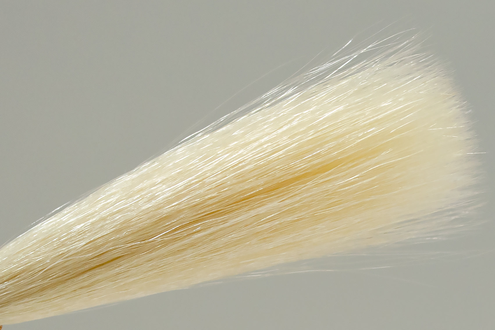 Giko;1980s 6×49 – Galerie Hata Bunshindou